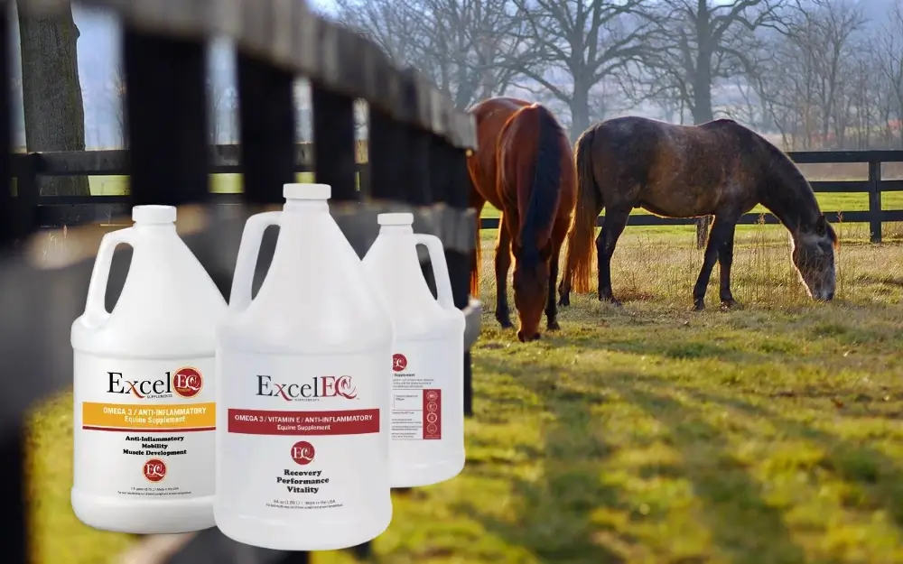 ExcelEQ Equine Wellness Supplements Canada
